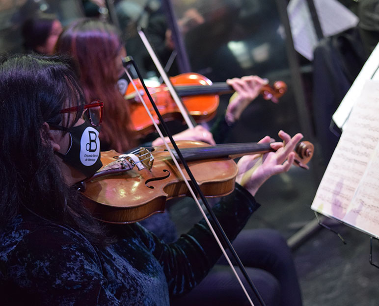 La Orquesta Barroca interpreta Las Cuatro Estaciones en el Teatro Plaza ...